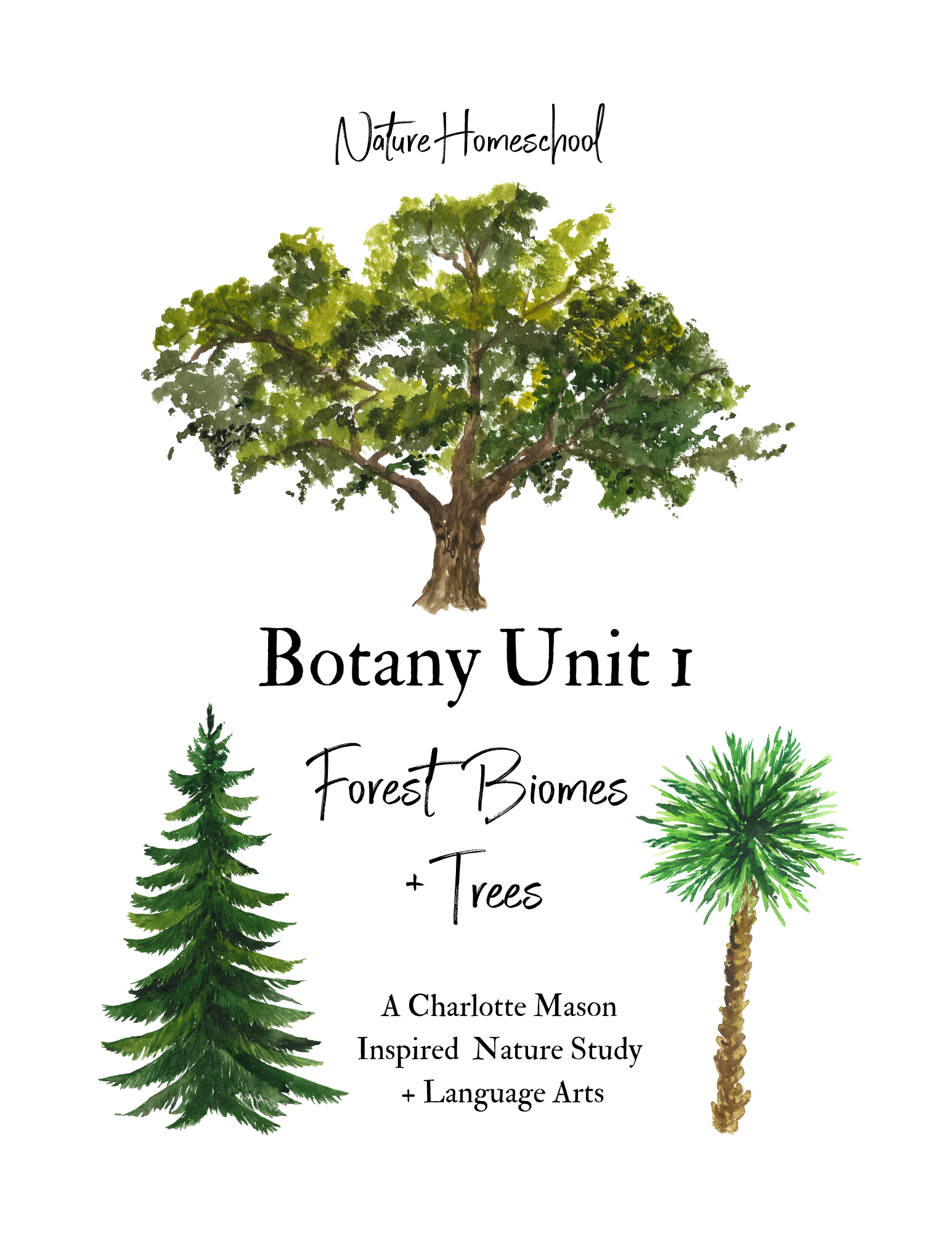 Botany Unit 1: Forest Biomes and Trees – Nature Homeschool